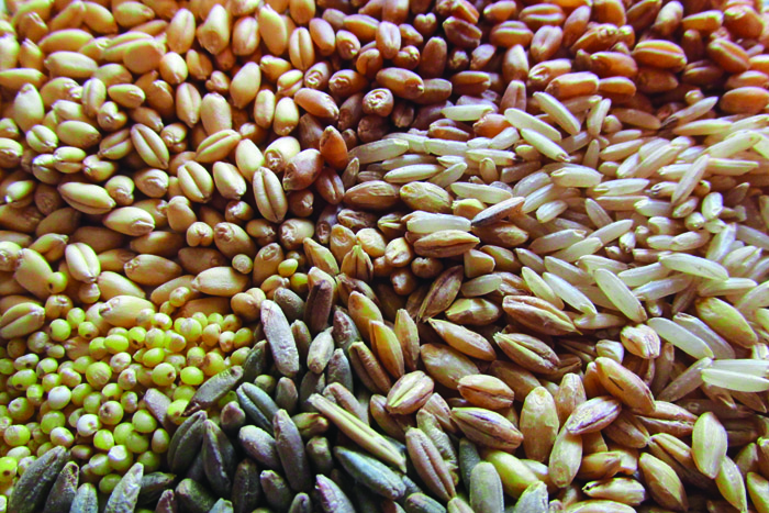 How to Mill Flour - Grit